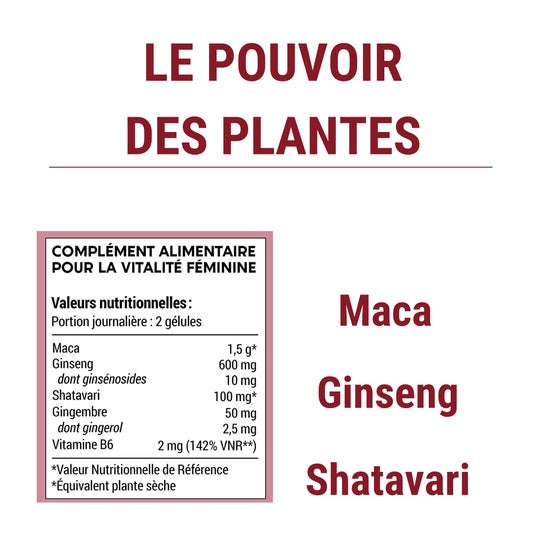 Laboratoires Enova Formule Femme 60 Gélules | DocMorris France